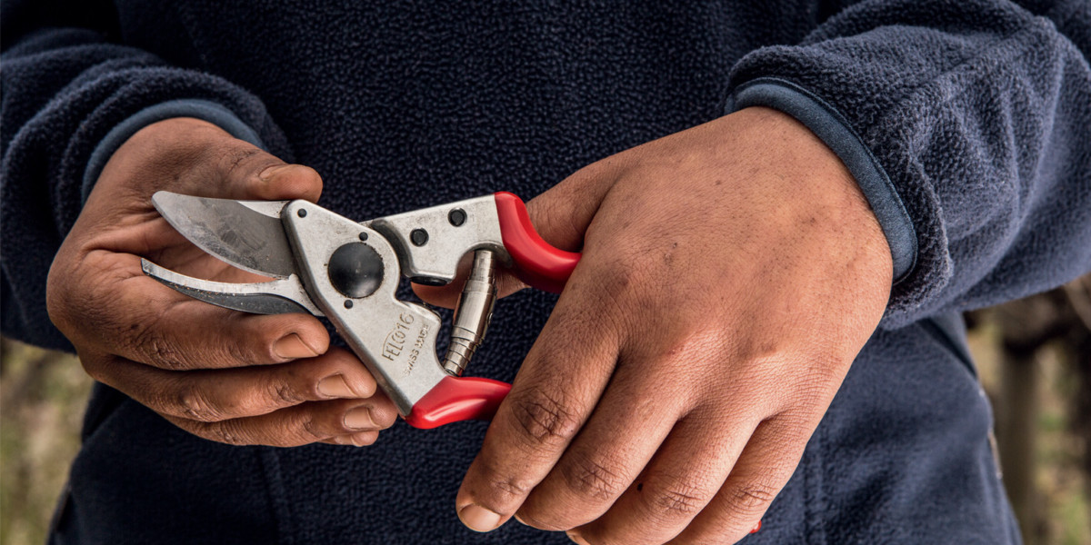 FELCO SA : À quoi ressemblera le packaging du futur de nos produits